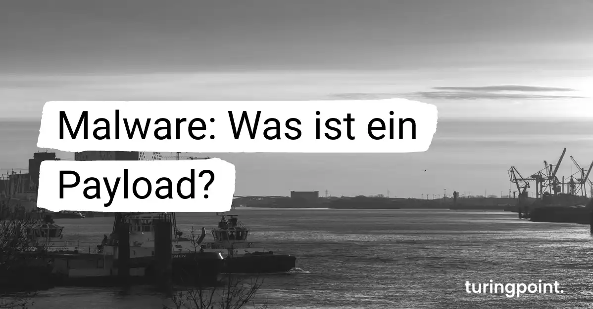 Malware erkennen und entfernen: Was ist Payload? | turingpoint