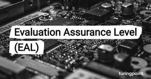 Evaluation Assurance Level (EAL) | turingpoint